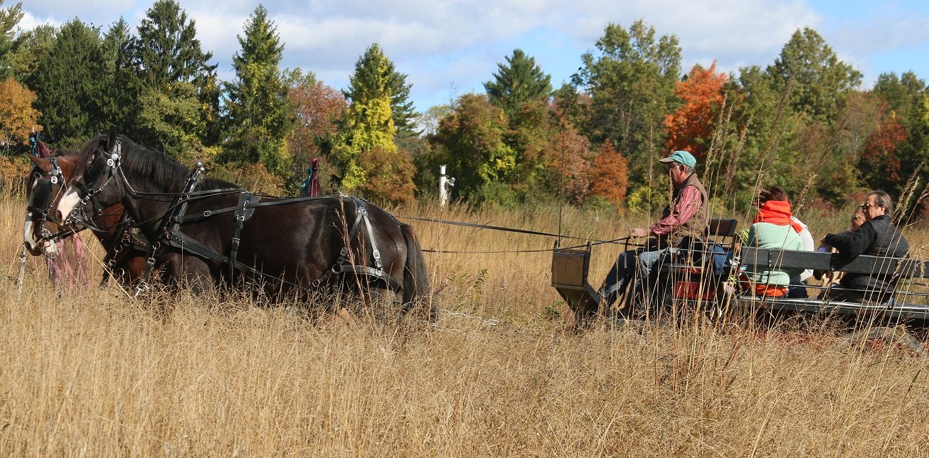 40th Annual Old Fashioned Country Fair - Raritan Headwaters