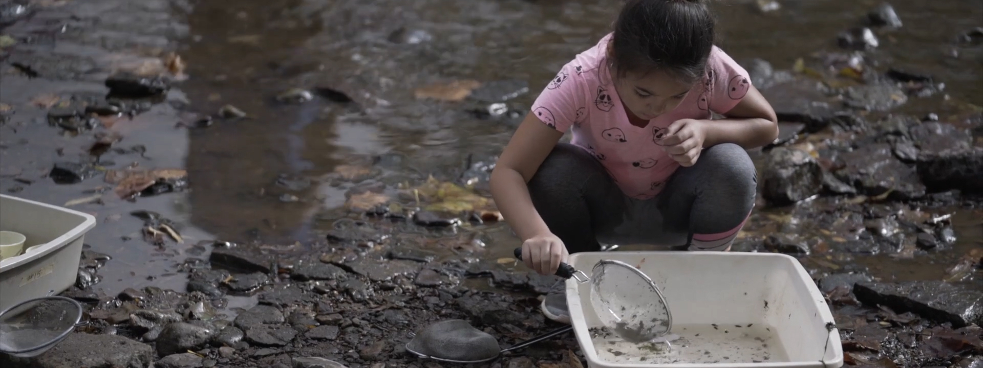 Explore a Local Stream - Raritan Headwaters