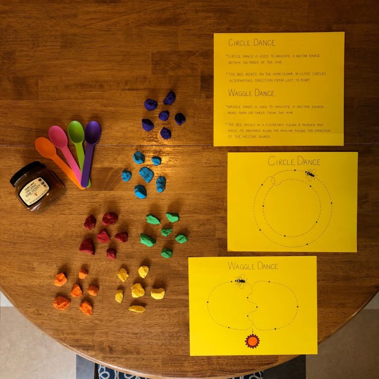 Bee Dance - Raritan Headwaters