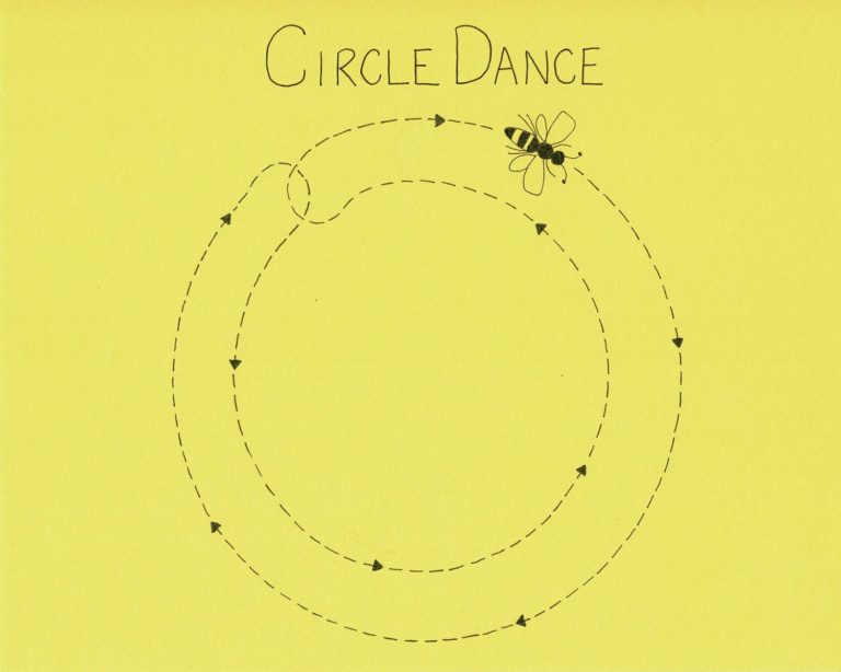 Bee Dance - Raritan Headwaters