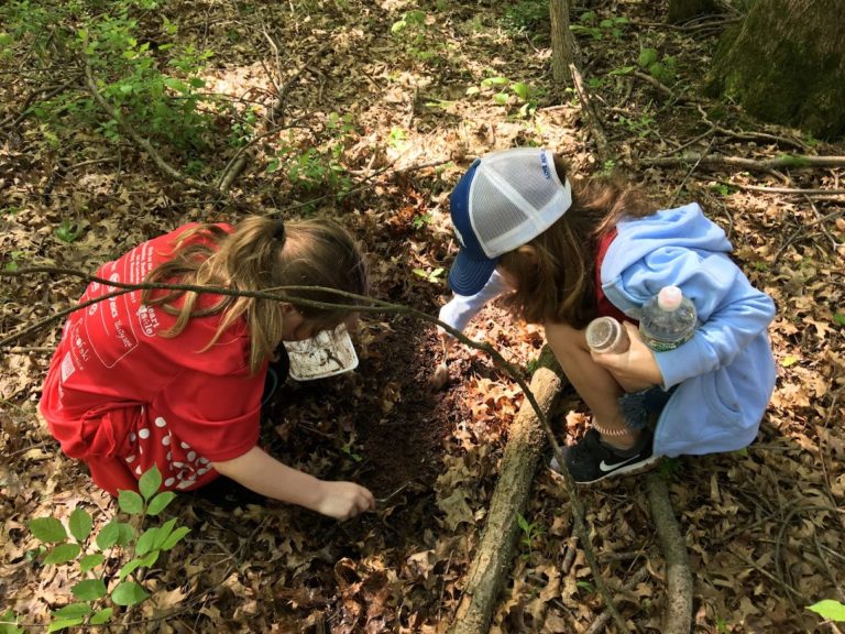 Go on an Insect Safari - Raritan Headwaters