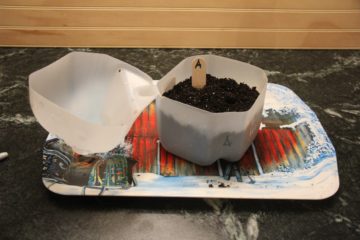 Recycled Container Greenhouses - Raritan Headwaters