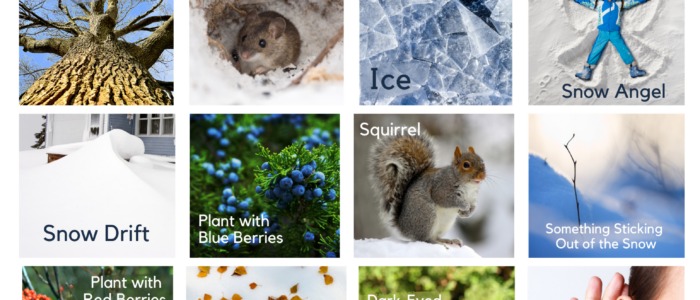 Habitat Scavenger Hunts - Raritan Headwaters