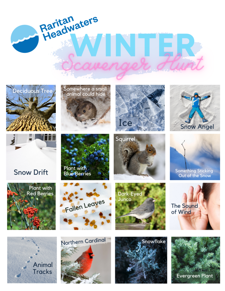 Habitat Scavenger Hunts - Raritan Headwaters