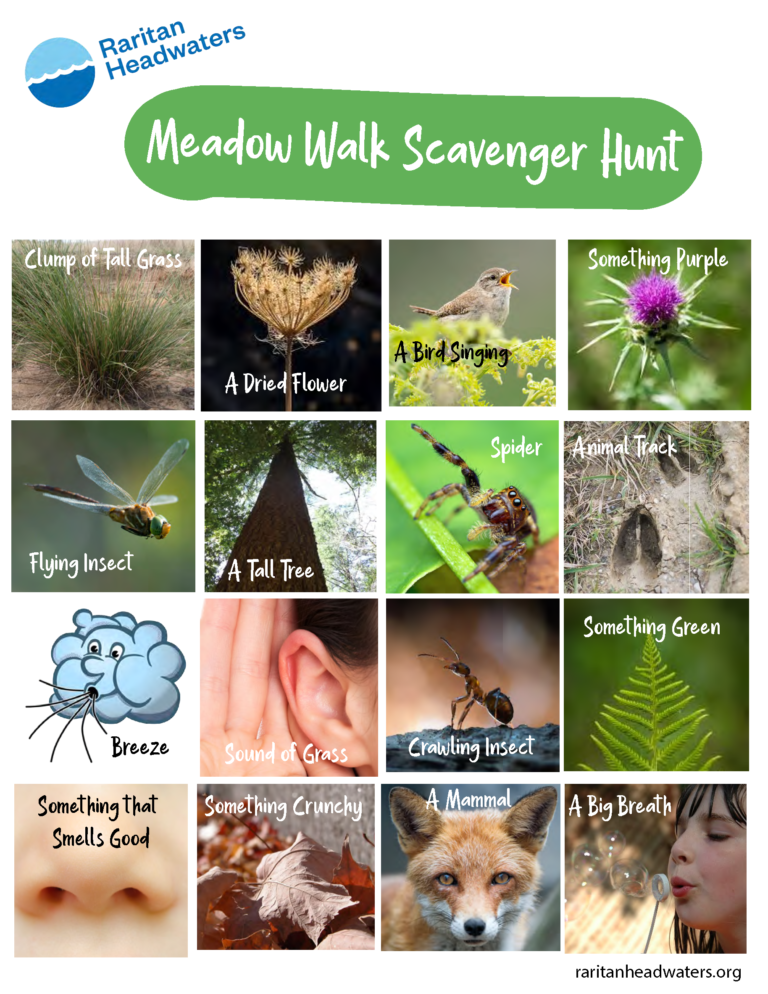Habitat Scavenger Hunts - Raritan Headwaters