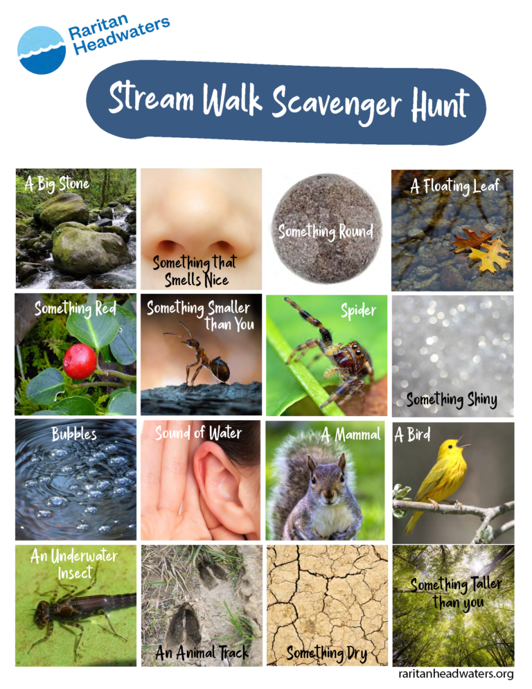 Habitat Scavenger Hunts - Raritan Headwaters