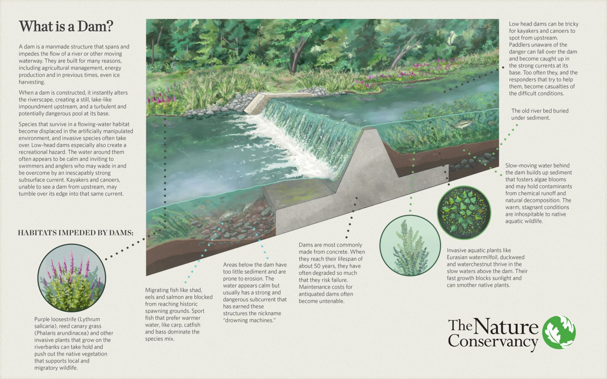 South Branch River Restoration Project - Raritan Headwaters