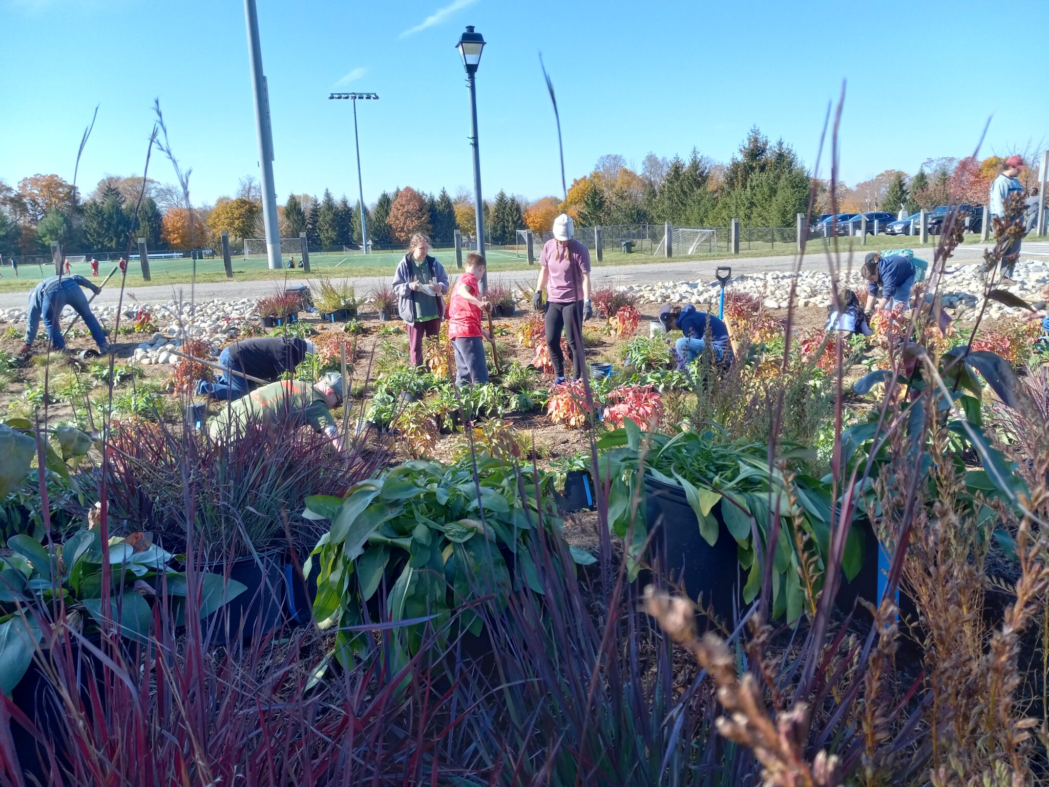 Rain gardens at Budd Lake improve water quality - Raritan Headwaters